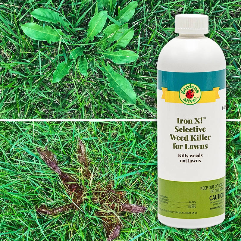Iron X! Selective Weed Killer for Lawns - Broadleaf Weed Killer ...